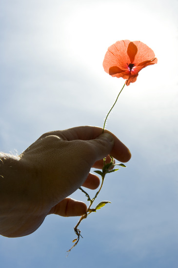 How to Create Awareness in 5 Easy Steps by Jodie Wallace